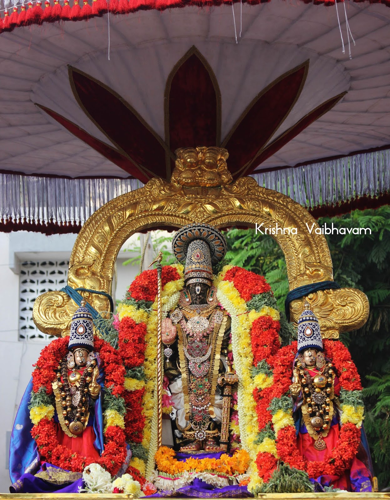 Krishna Vaibhavam: Sri Parthasarathy Perumal - Dhavana Utsavam Day 04 ...