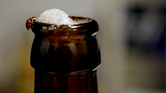 Cervezal: Cerveza: Tipos de contaminacion y sus causas