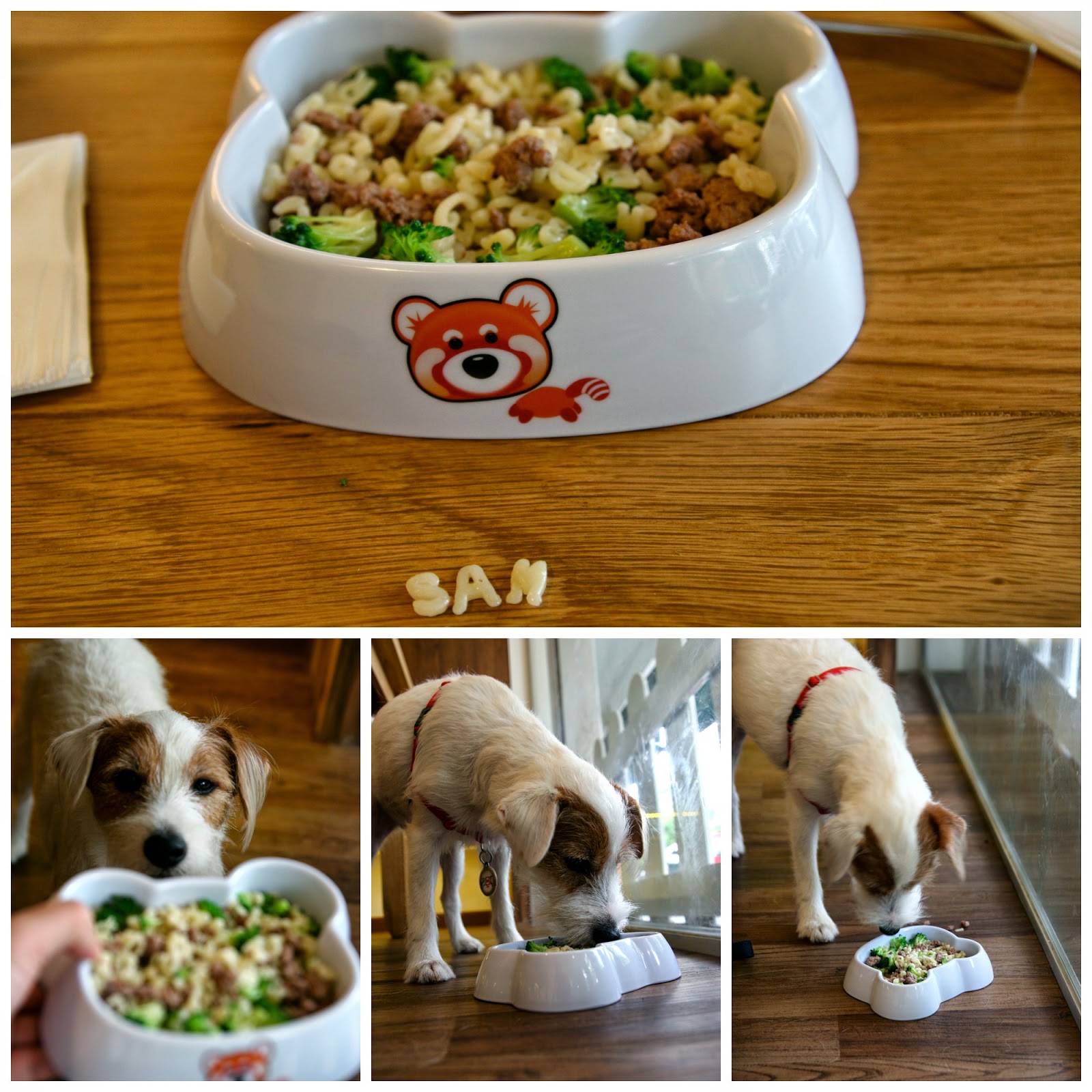 Sam's Day Out - Happenstance Cafe - Sam, Pecan, Pippin, Shelly and ...