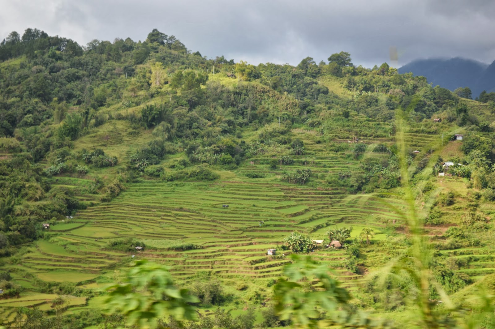 Cordillera Ubbog: A Trip to Kapangan