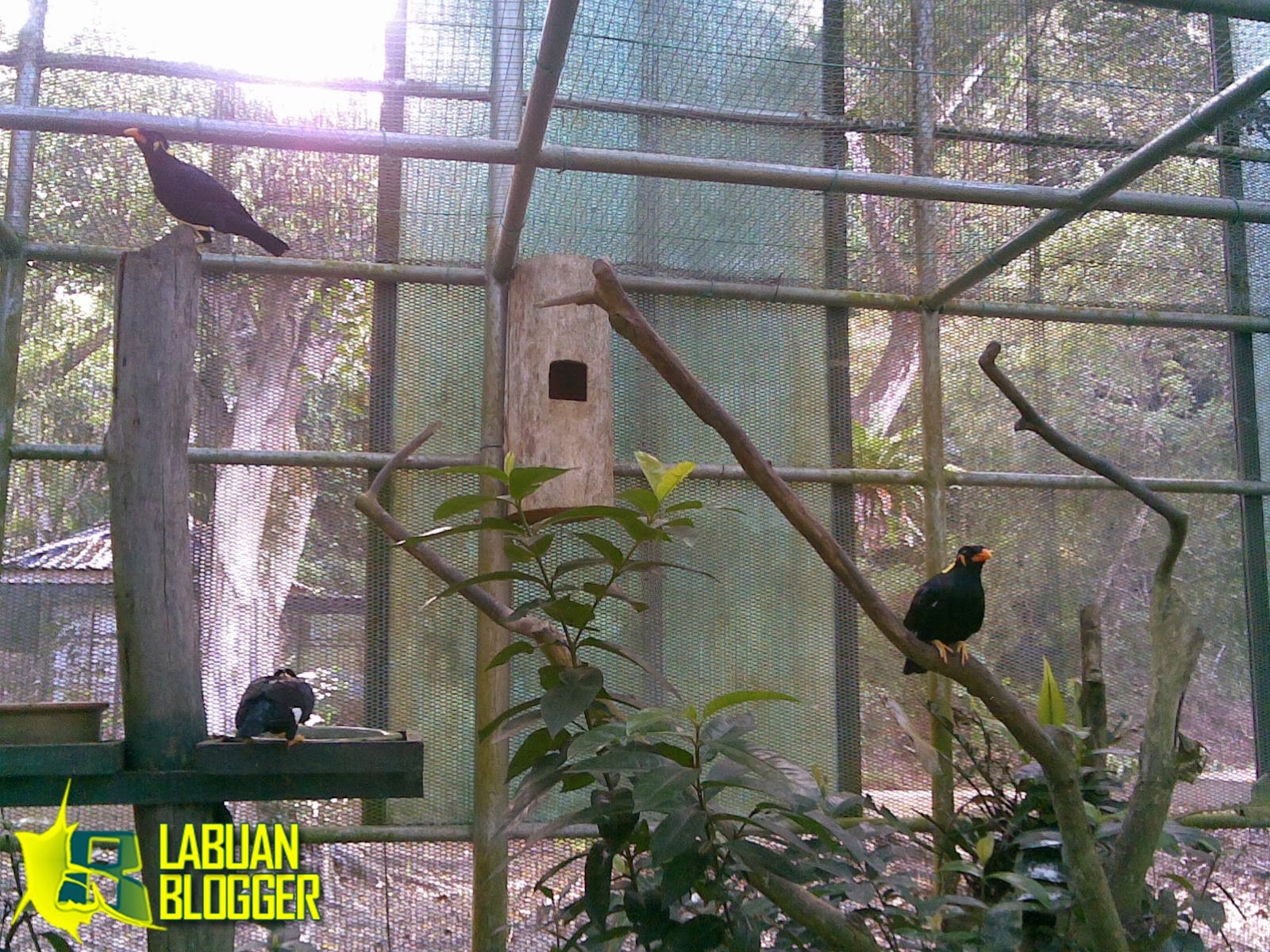 Taman Burung Labuan salah satu tempat menarik di WP.Labuan - Labuan Blogger