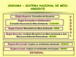 Frank e Sustentabilidade: FUNÇÕES, ORGÃOS E NÚCLEOS DO SISNAMA