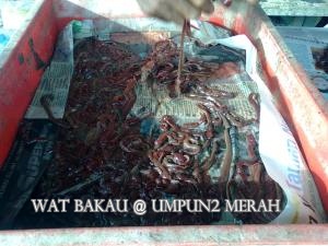 Laman Pengail: CARA MENCARI UMPUN-UMPUN