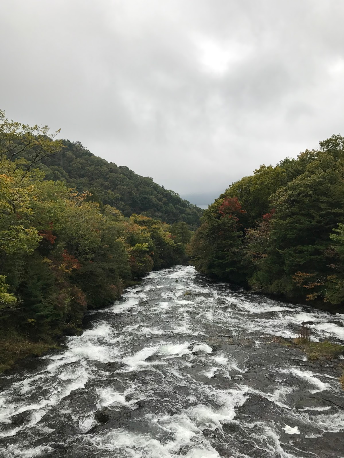 Travel with Pops: Beautiful and Ancient Nikko, Japan