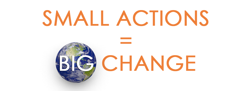Small Actions = Big Changes with Rainforest Alliance!