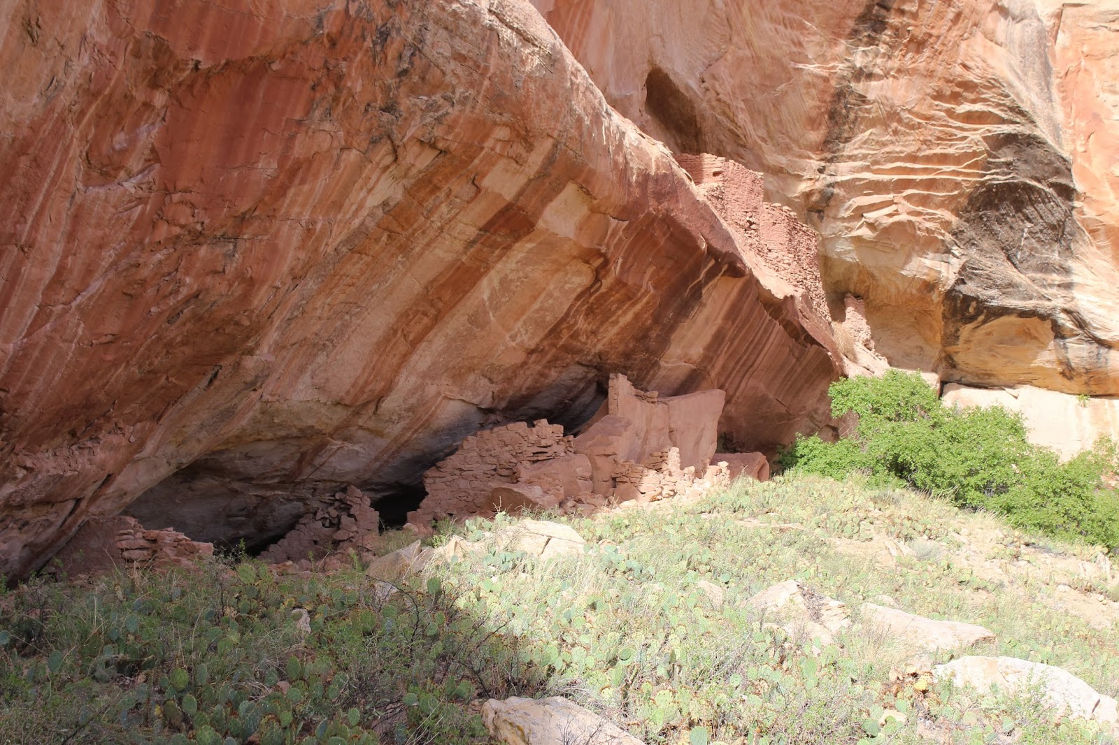 gjhikes.com: Split Level Ruin