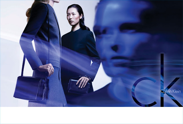 ck by Calvin Klein F/W 11.12: Lara Stone, Benjamin Eidem and Liu Wen by ...