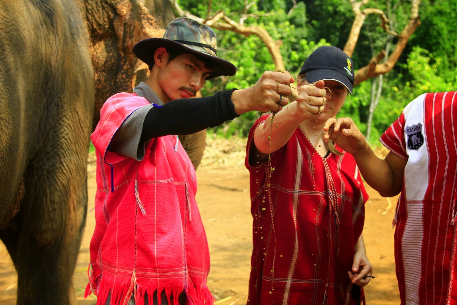 Chiangmai : INCURSION EN PACHYDERMIE...
