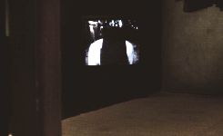 InfinitaMente Aleatorio: ¿Conoces a Sadako/Samara? /// RINGU/THE RING