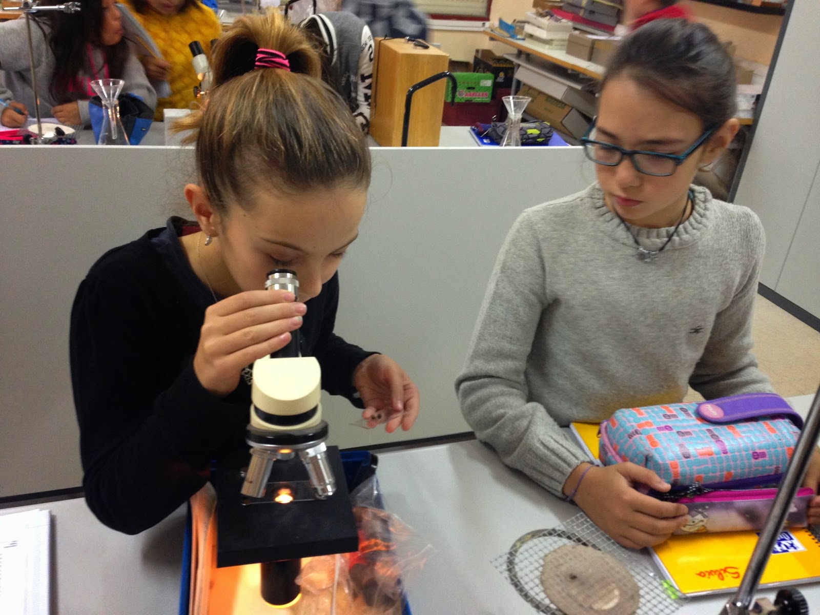 SCIENCE IN THE SCHOOL: 2014