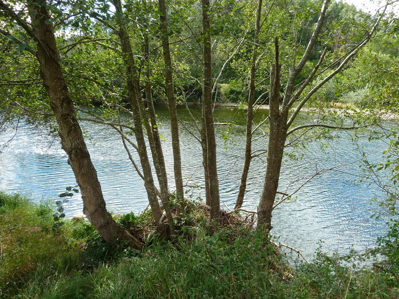 en la buena senda: Senda del Nansa