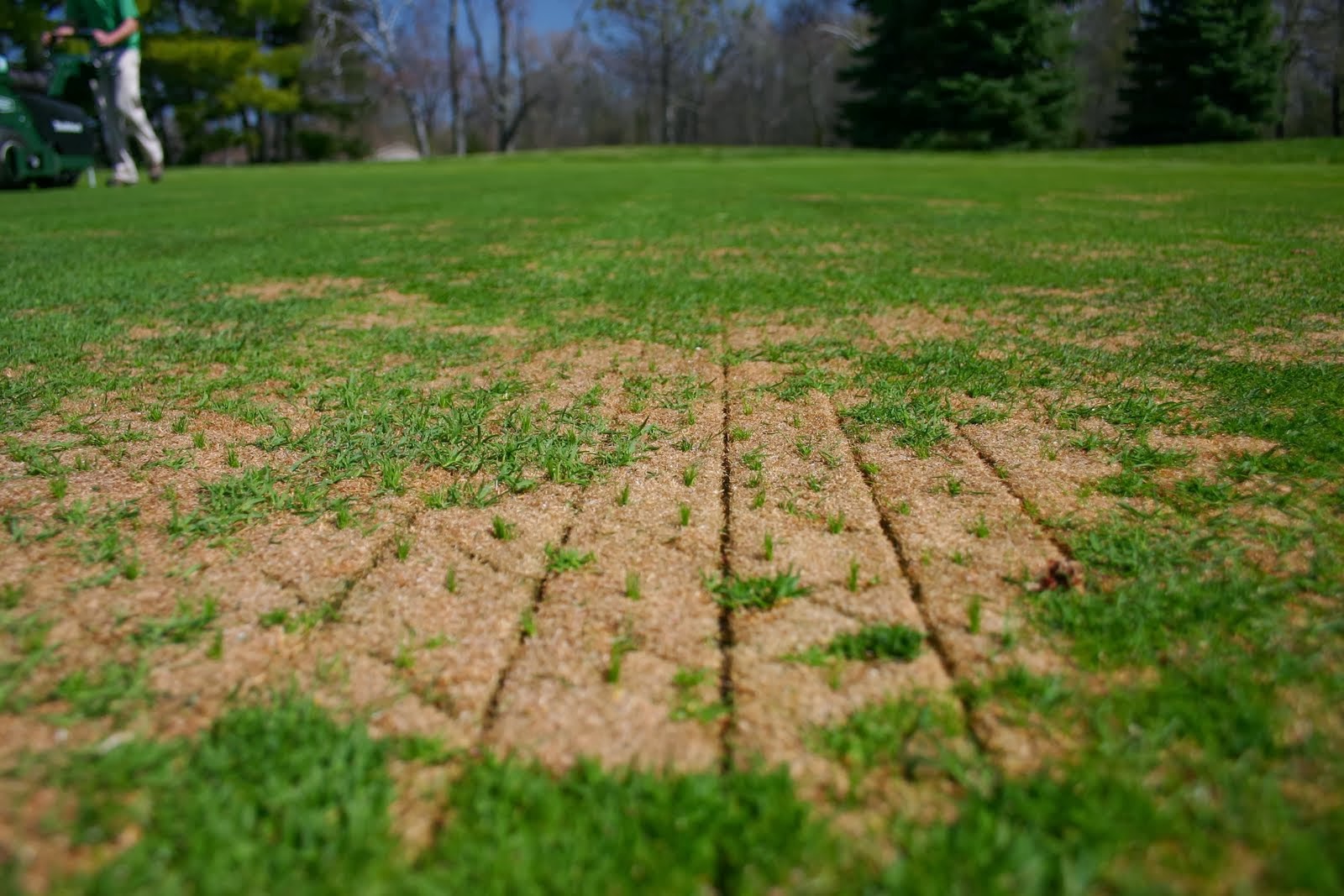 Kamloops Golf and Country Club TURF CARE: Winter's Wrath