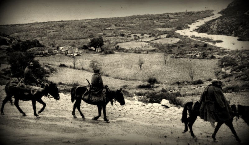 ΙΣΤΟΡΙΑ ΕΛΛΗΝΙΚΗ ΚΑΙ ΠΑΓΚΟΣΜΙΑ : ΕΛΛΗΝΟ-ΙΤΑΛΙΚΟΣ ΠΟΛΕΜΟΣ : Ο ΕΛΛΗΝΙΚΟΣ ...