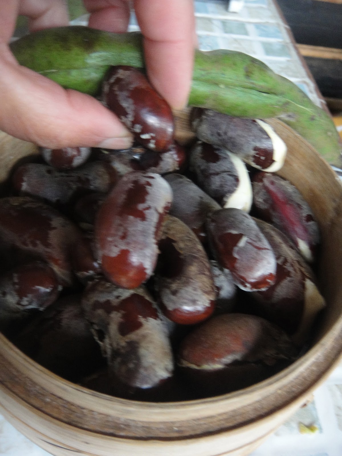 Backtoeden: Puré de Chachafruto