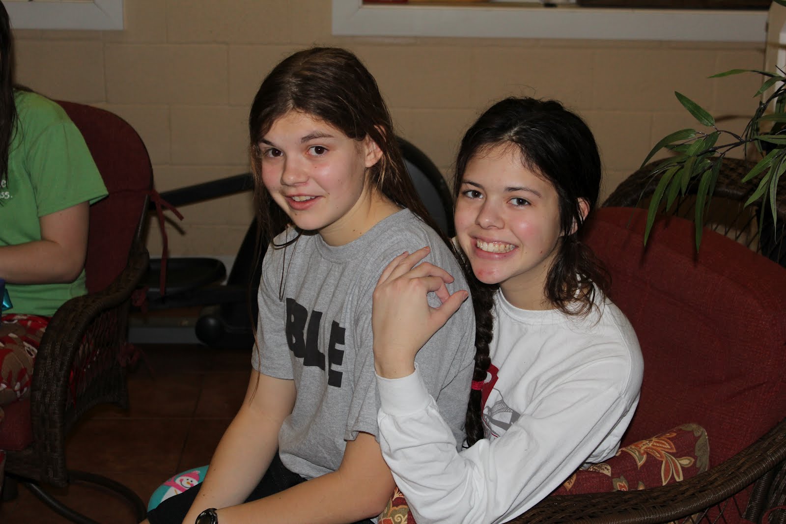 The McAfee Family: Kirsten's 14th Birthday Party