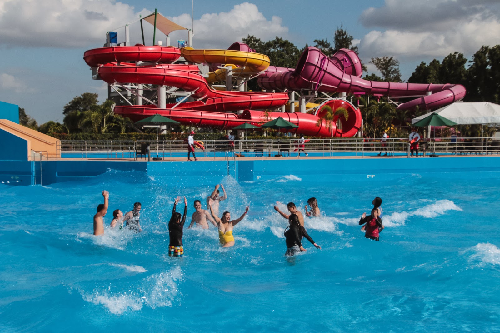 Things To Know About Aqua Planet - The Pinoy Traveler