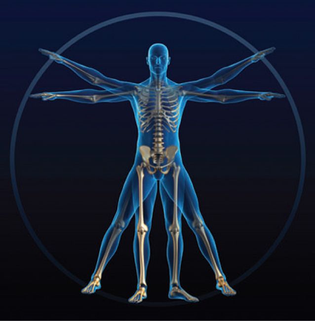 Far Future Horizons : Humans v2.0:Human Evolution at the Cross Roads