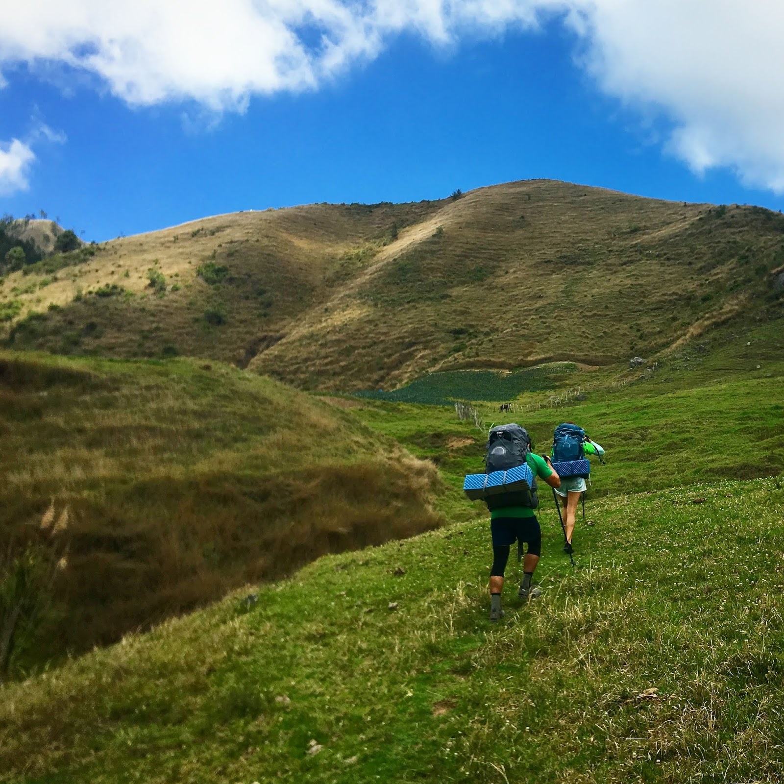 Inauguramos el Sendero Guayabal