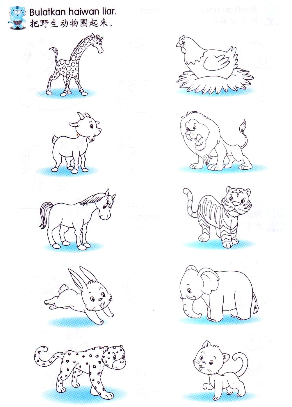 ALAM HIDUPAN - HAIWAN (PRASEKOLAH): Latihan Pengukuhan