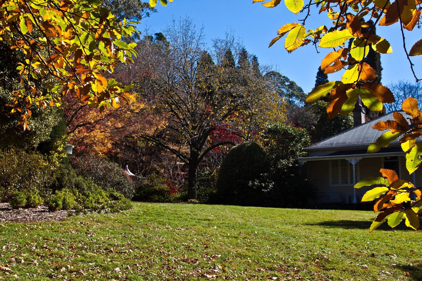 Historical Australian Towns: Mount Wilson & Mount Irvine, NSW: A Little ...