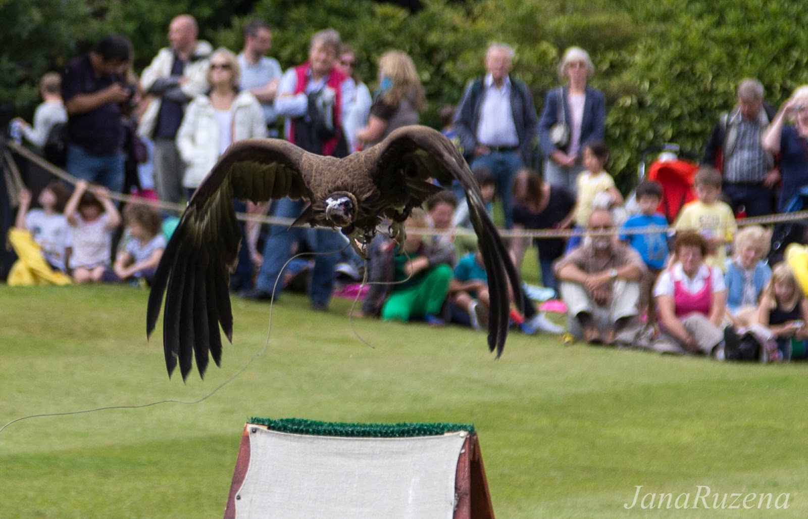 Escapes and Photography: Waddesdon Manor's Roman Weekend part 2 - The ...
