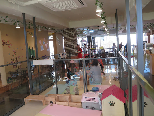 Day 1: Meerkat Cafe in Hongdae - Seoul, South Korea - chichicho~