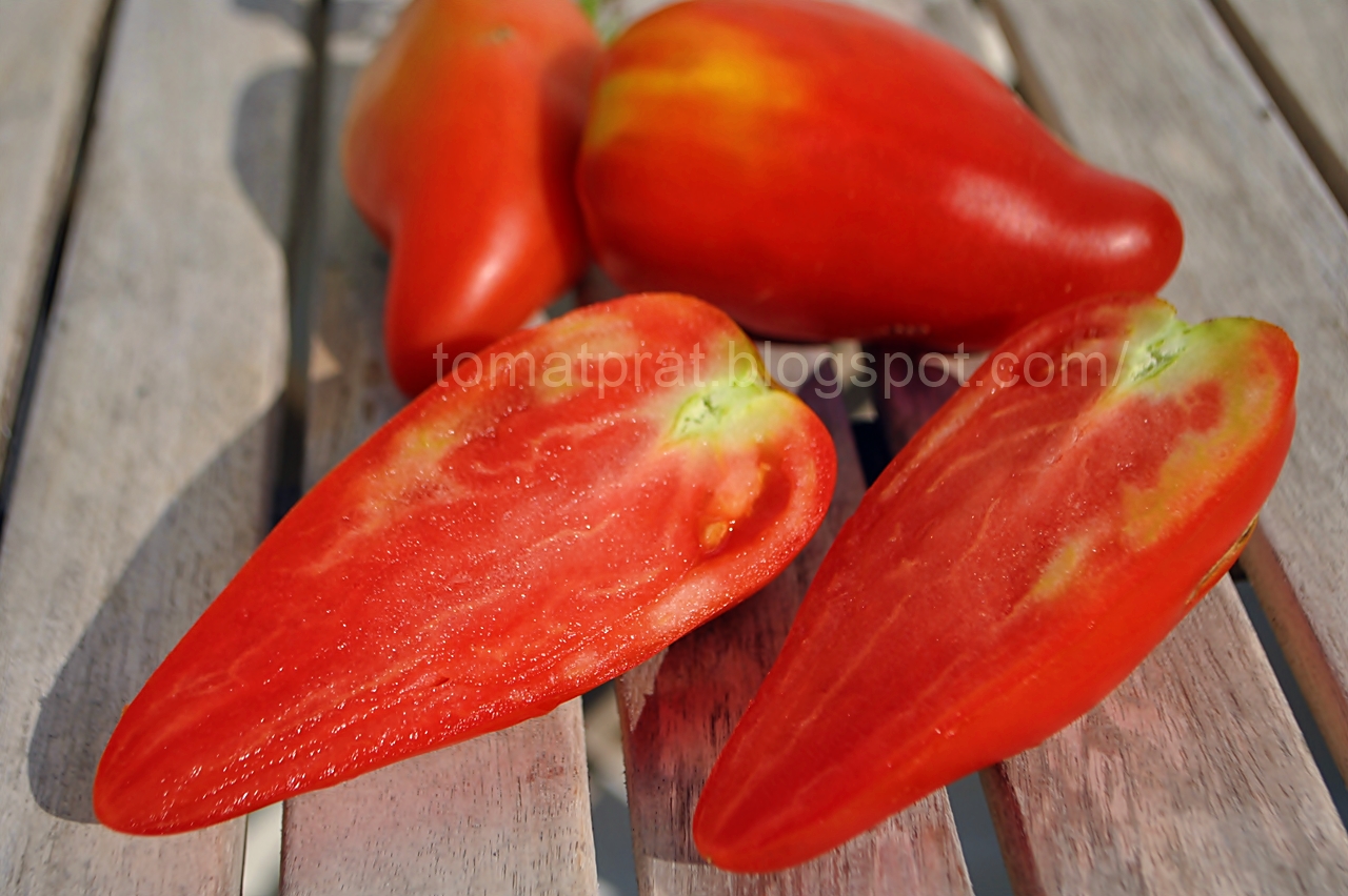 Helenes Tomater: Long Tom