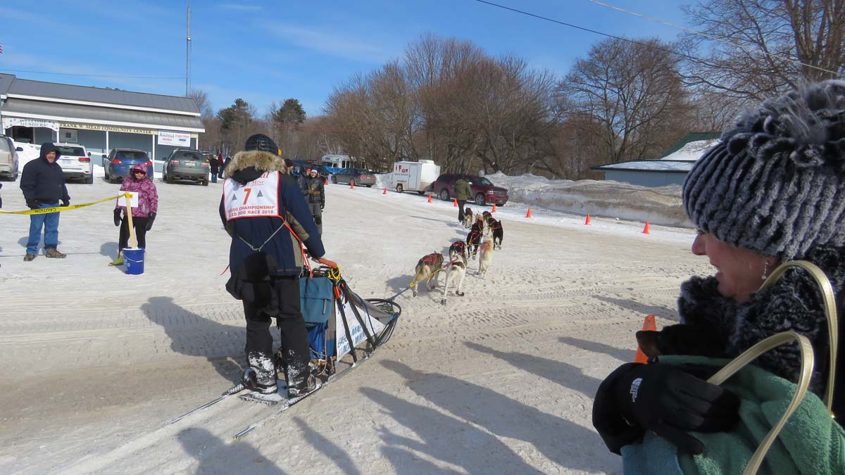 The Agatelady: Adventures and Events: UP200 Dog Sled Race