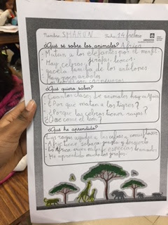 El blog de nuestros peques 1º y 2º : QUE SÉ- QUE QUIERO SABER- QUÉ HE ...