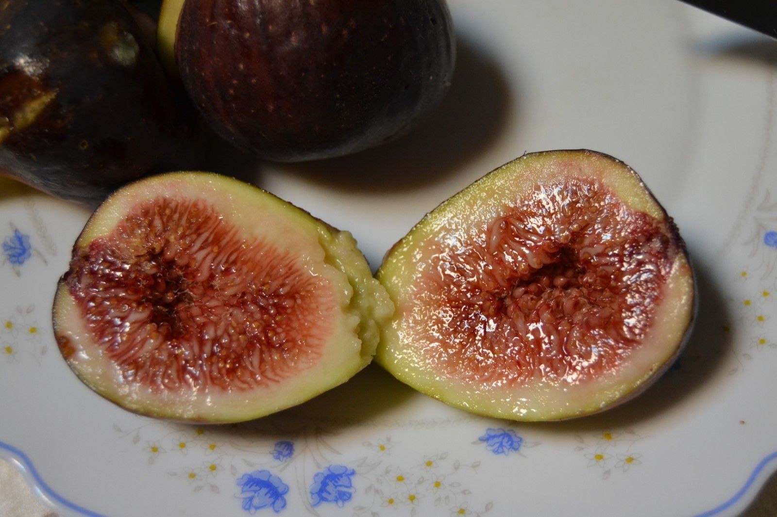 Figo Preto De Torres Novas - Var Tin