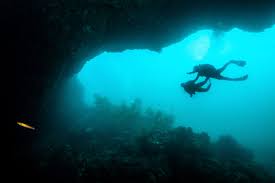 SCUBA diving for dummies.