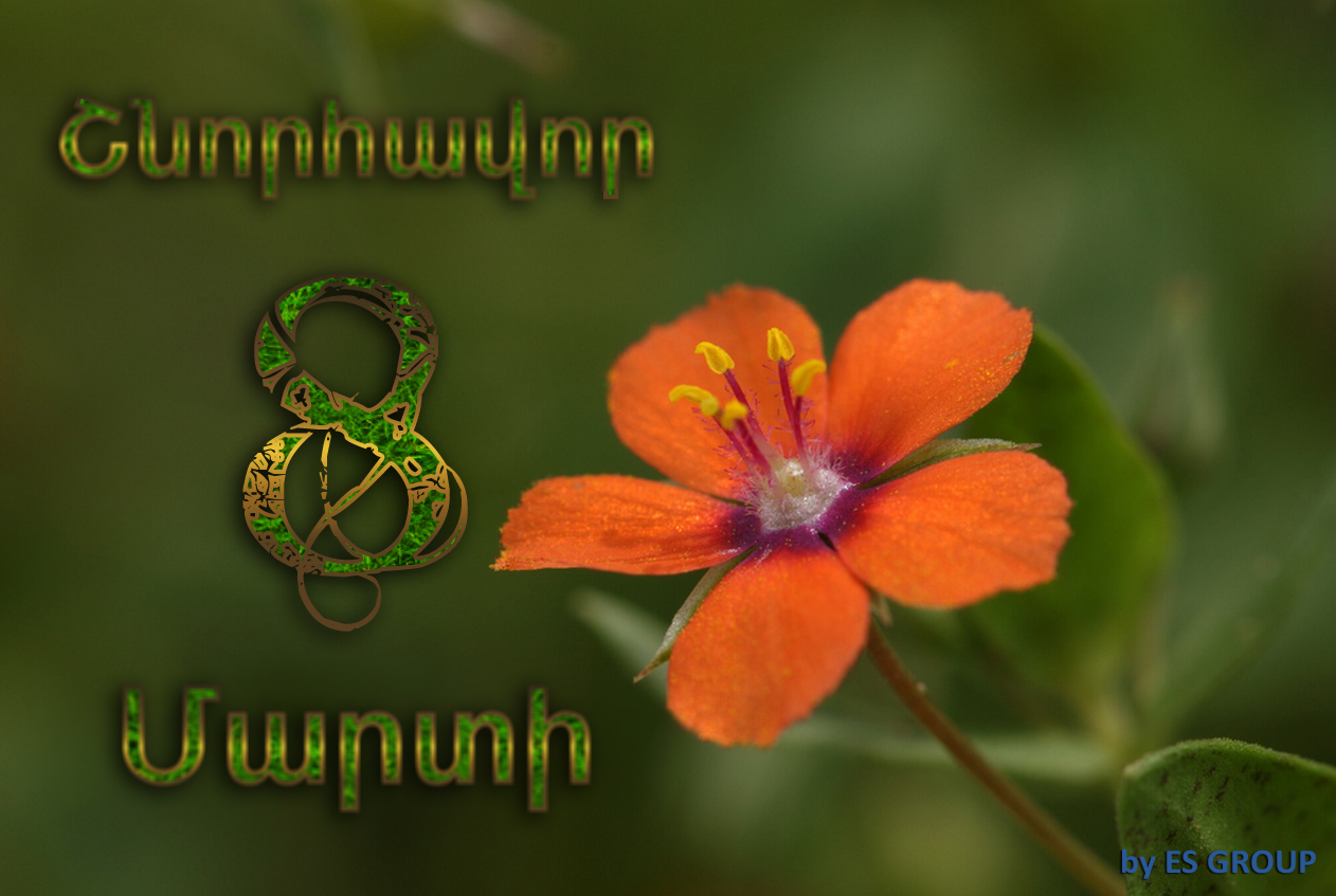 Hayerov.ml: Շնորհավոր Մարտի 8