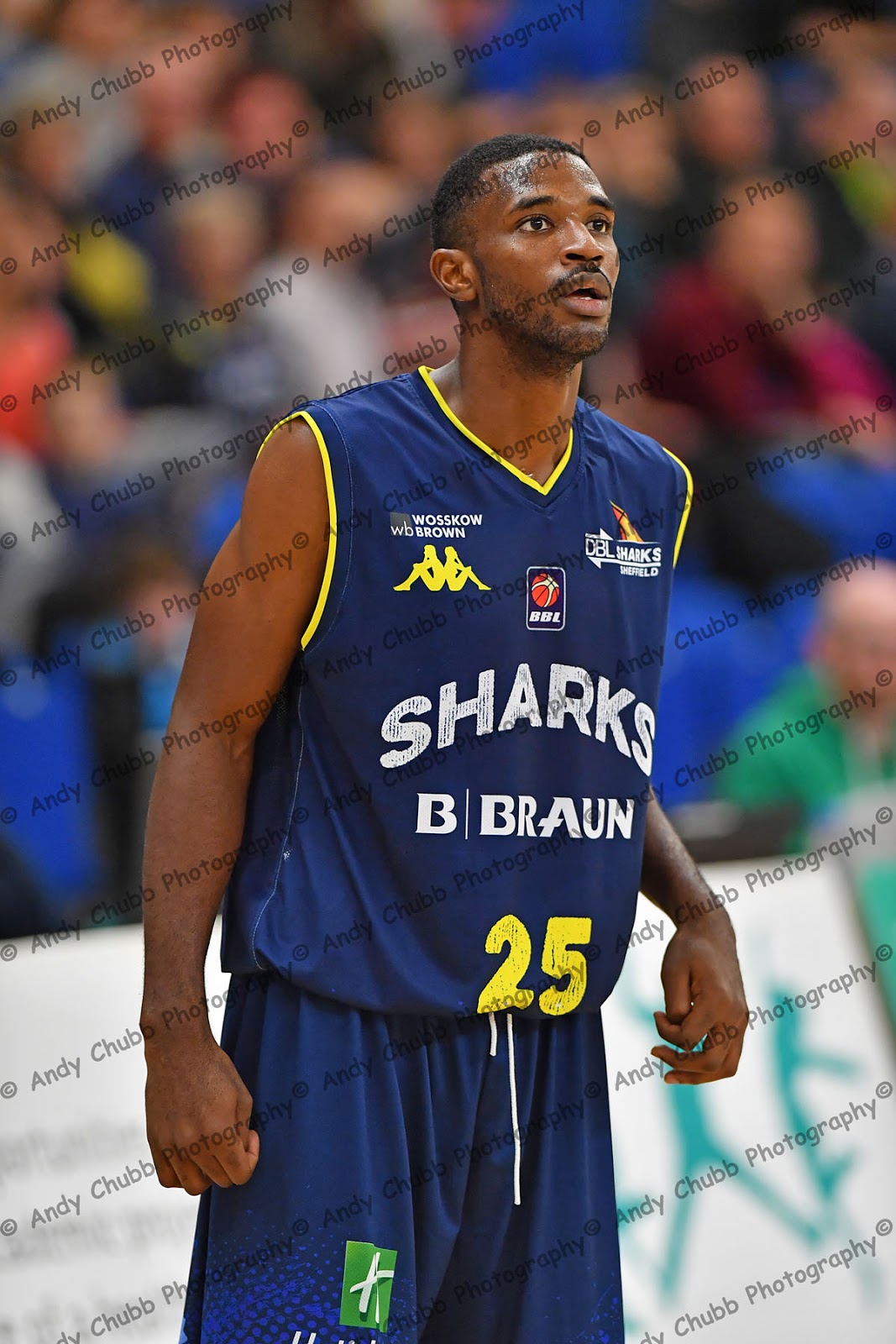 Peveril Photo: November 2016