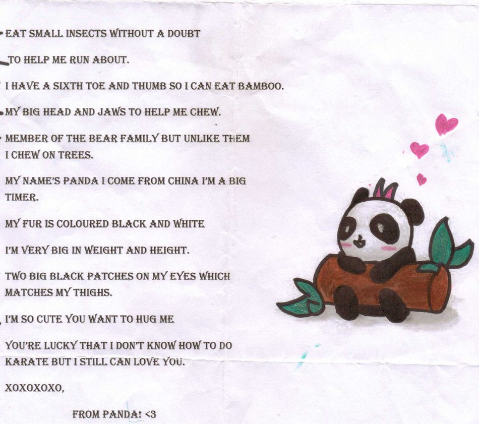 STORYWRAPS: *Alphabet All-Stars* Where Does Panda Fit In? - a bookwrap