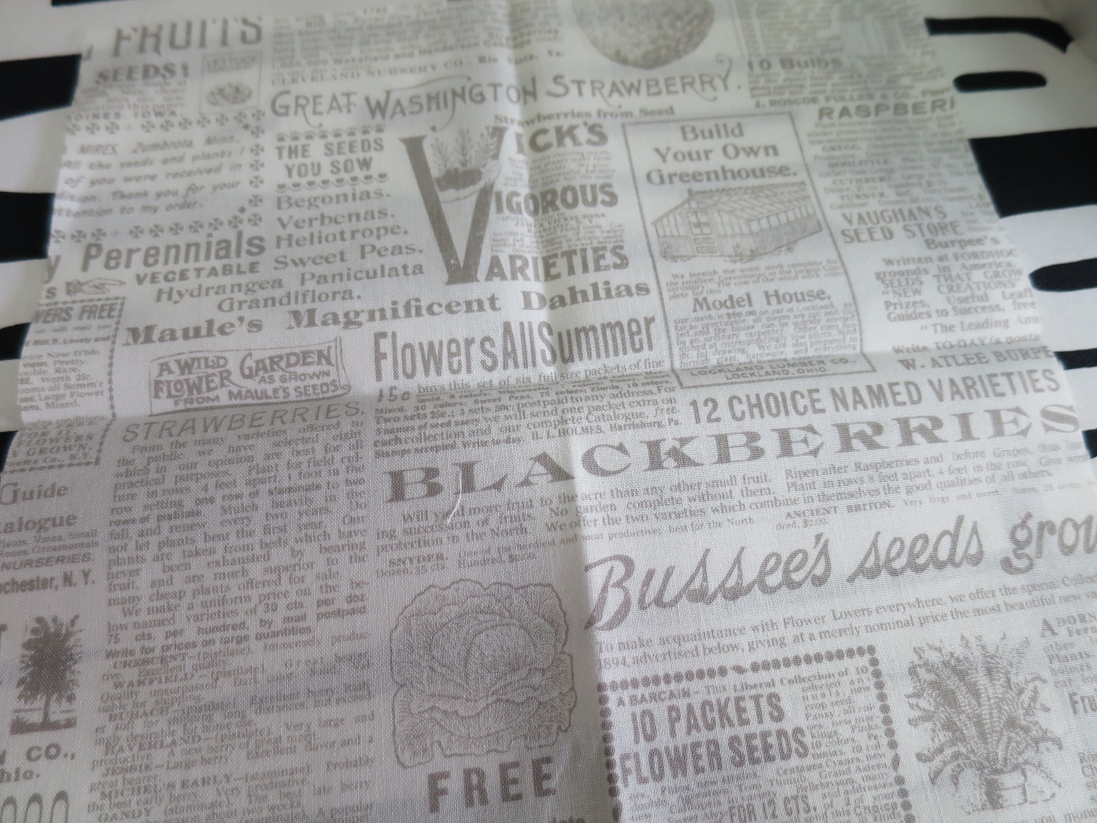 Buttontree Lane: How to applique your EPP without pins and stress - a ...