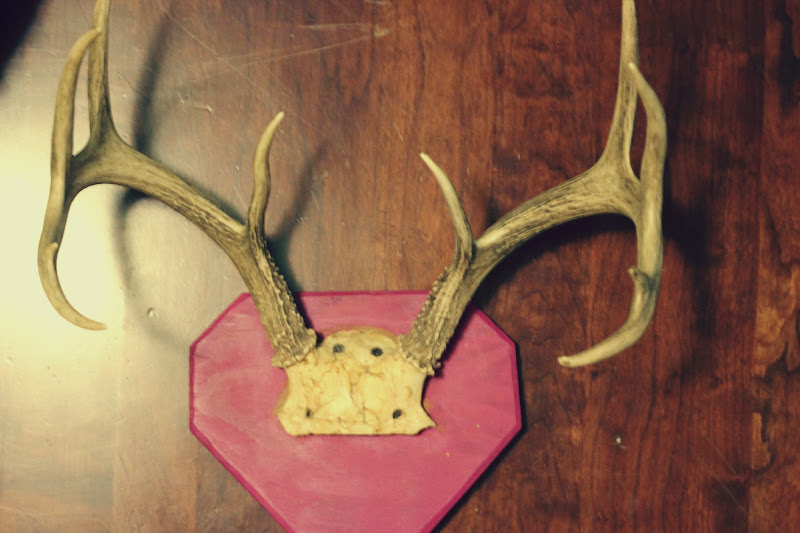 the magpie collective: {How To} Make Antler Art