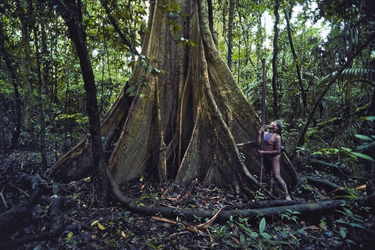 Cryptoforestry: Forest forage psychogeography with the Huaorani