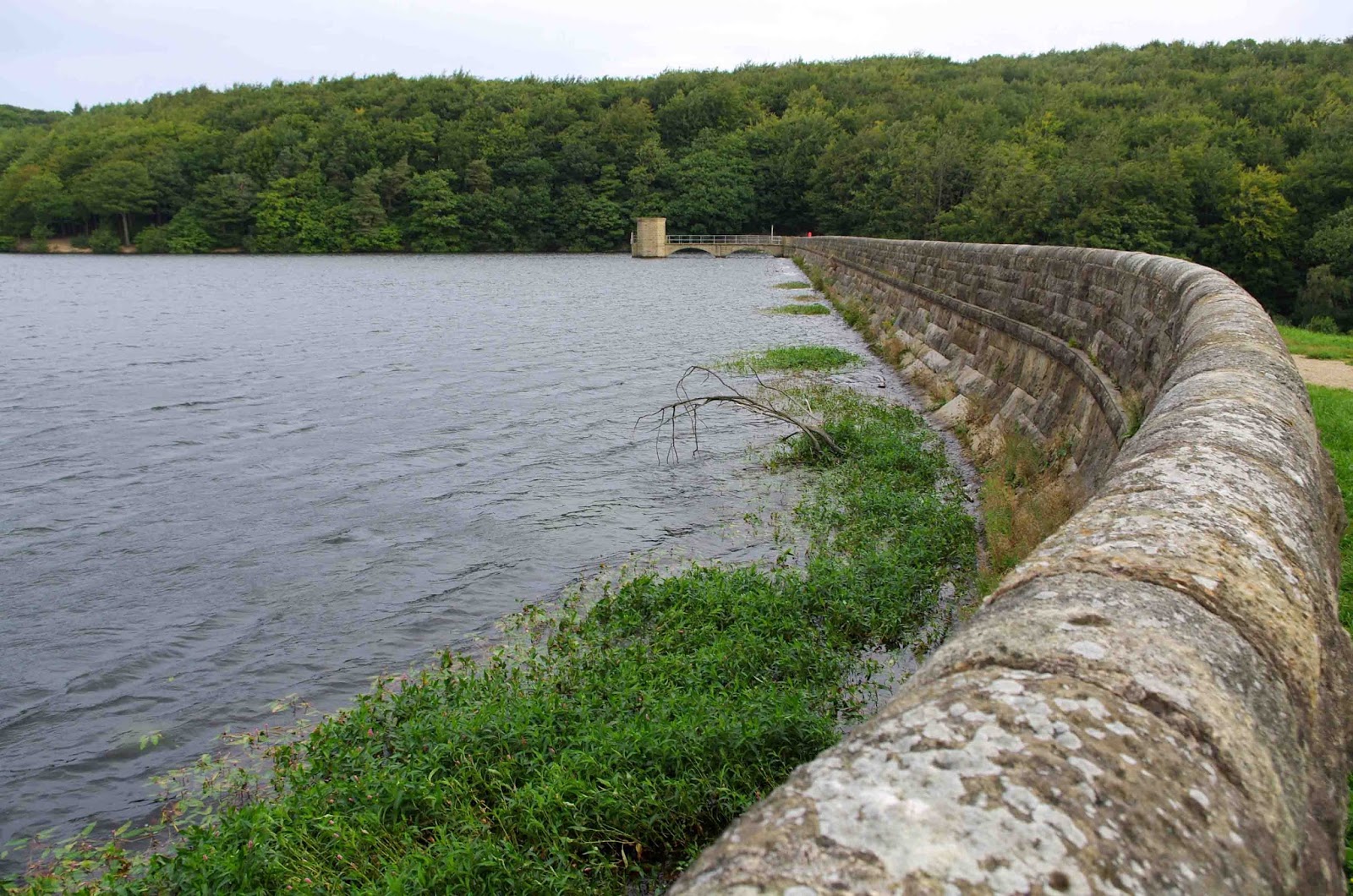 Out & About: Linacre Reservoirs and Old Bramton