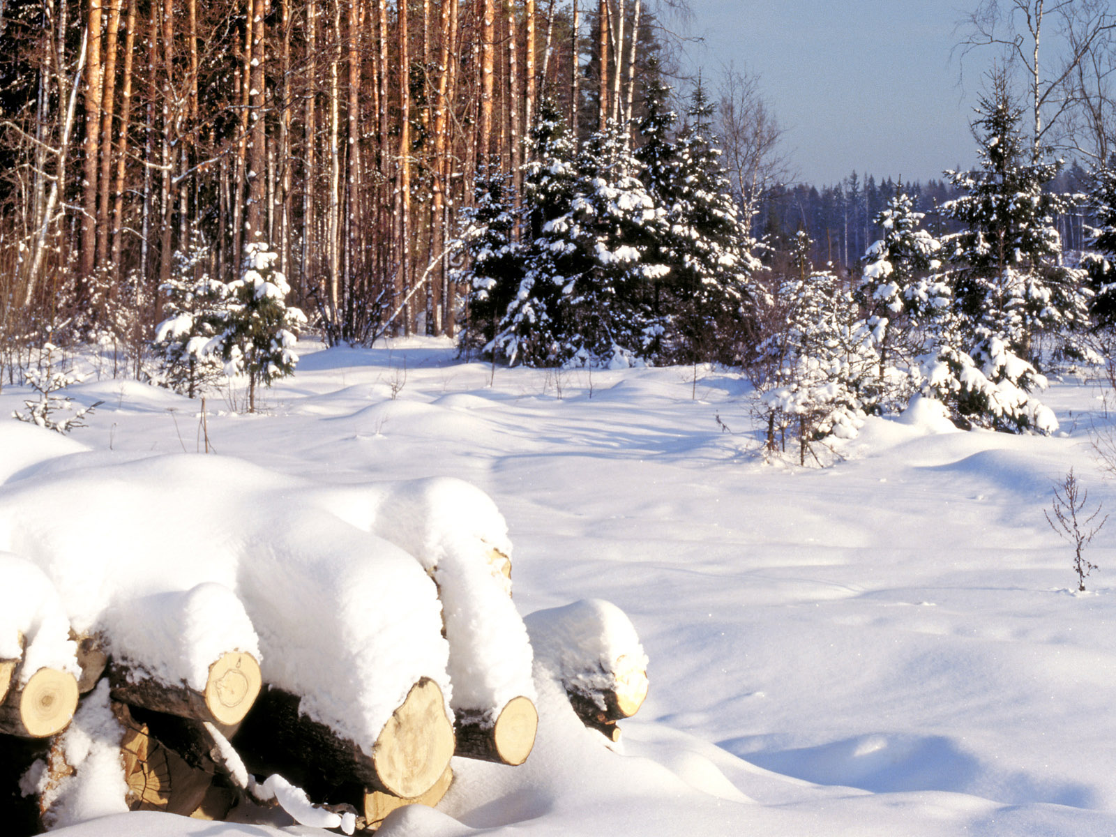 Mooie Sneeuw Achtergronden