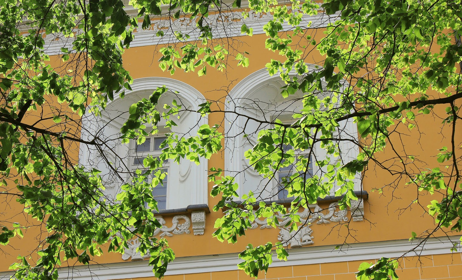 Travel & Adventures: Moscow, Russia, four seasons. The Nature of Moscow ...