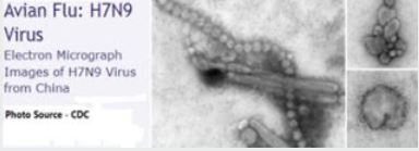 Avian Flu Diary: NHFPC Announces 35 H7N9 Cases (13 Deaths) For Month Of ...