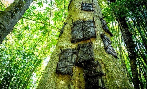 Barana23: 10 CIRI KHAS YANG DIMILIKI SUKU TORAJA YANG TERLETAK DI DI ...