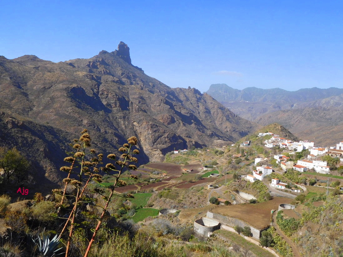 En Busca del Hada Azul: Tejeda