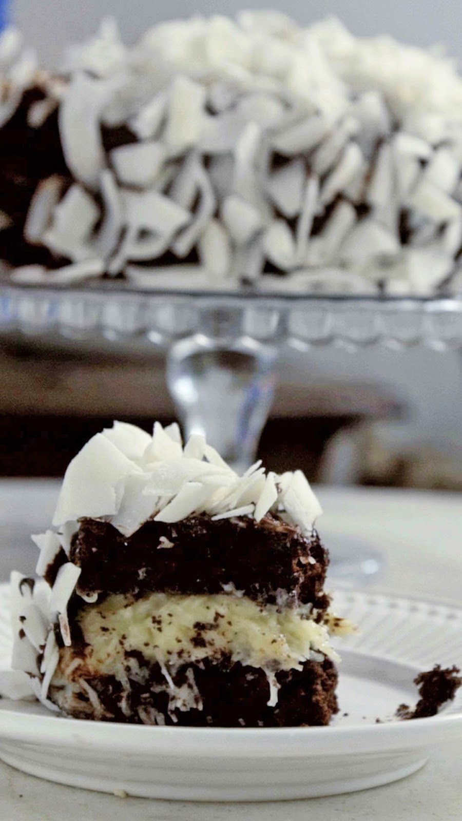 Chocolate Coconut Cake | ide resep mudah untuk anda