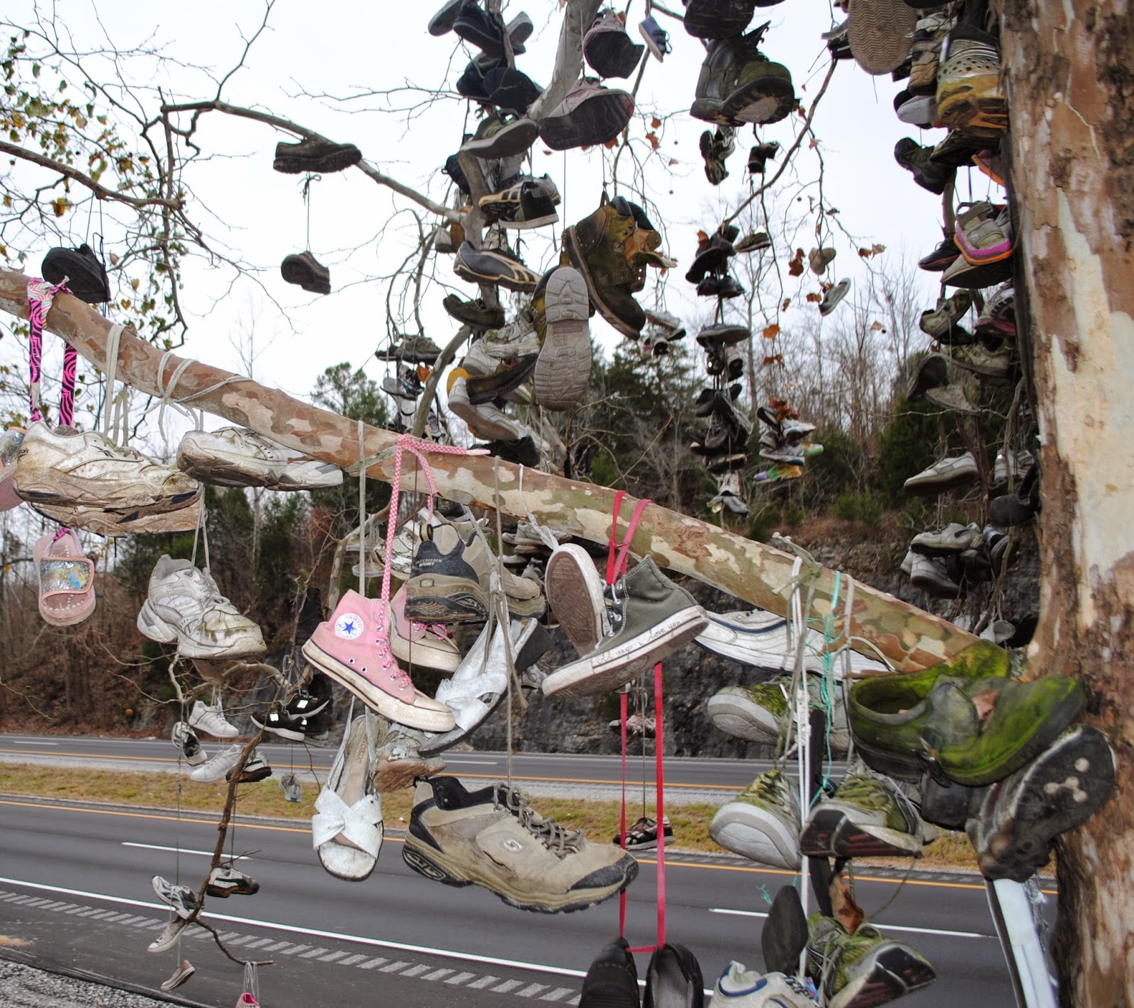 The Carpetbagger: Shoe Tree of Cherokee, AL - The end of a Journey