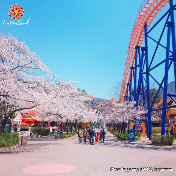 We will go to an Amusement and Theme Parks in Seoul tomorrow! - lookinSeoul