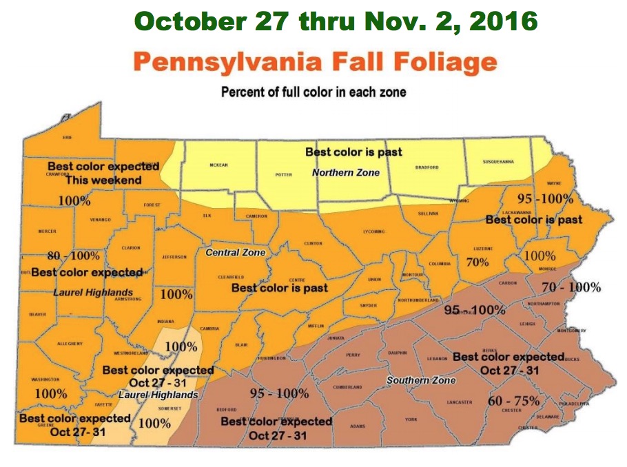 PA Environment Digest Blog: New DCNR Foliage Report: Leaves Are Peaking ...