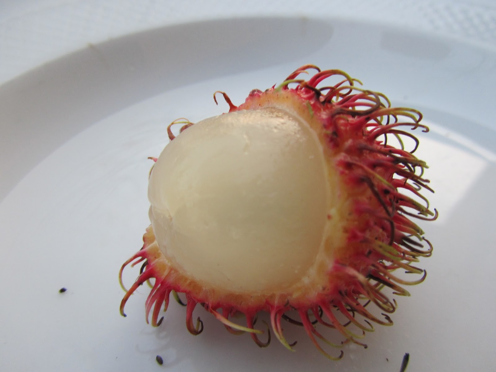 Rambutan (Nephelium lappaceum), un Frutto a Forma di Riccio | Il Gusto ...