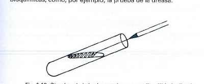 Práctica 4: SIEMBRA EN MEDIO SÓLIDO EN TUBO INCLINADO
