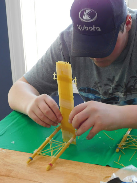 100 Days of Science #61- 63: Three Fun Bridge Challenges